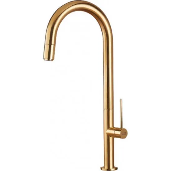 Μπαταρία Κουζίνας με ντους Armando Vicario Tozo 48780-201 Gold Brushed